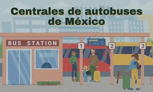 Centrales de Autobuses en México:【 Líneas y Horarios 】