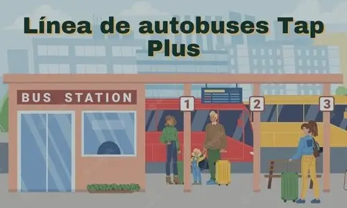 Autobuses Tap Plus: Horarios, Rutas y Tarifas
