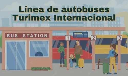 Autobuses Turimex Internacional: Horarios, Boletos y Tarifas