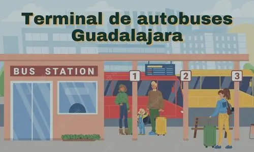 Central autobuses Guadalajara » Horarios, rutas y boletos