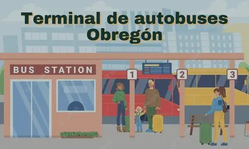 Central autobuses Obregón » Horarios, rutas y boletos