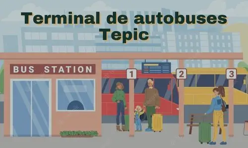 Central autobuses Tepic » Horarios, rutas y boletos